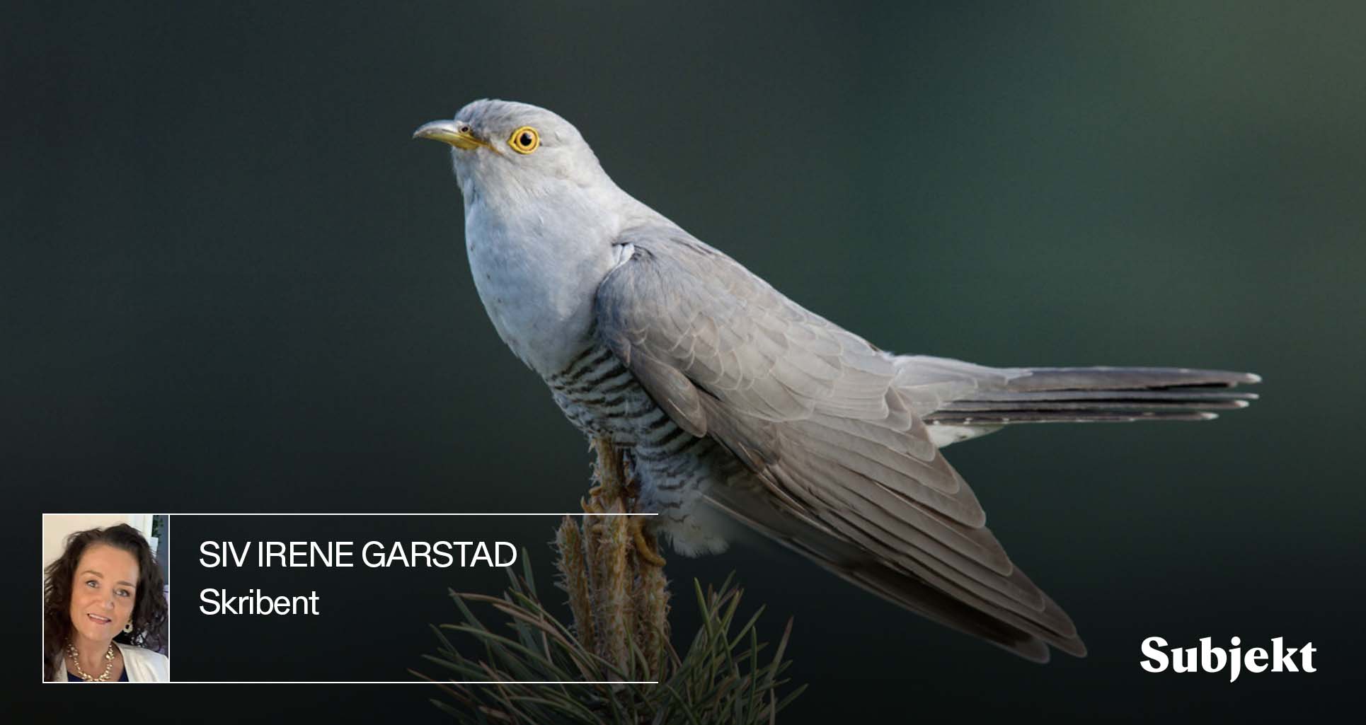 Gamle bøker og sanger er ikke farlige. De er speil på fortiden | Subjekt